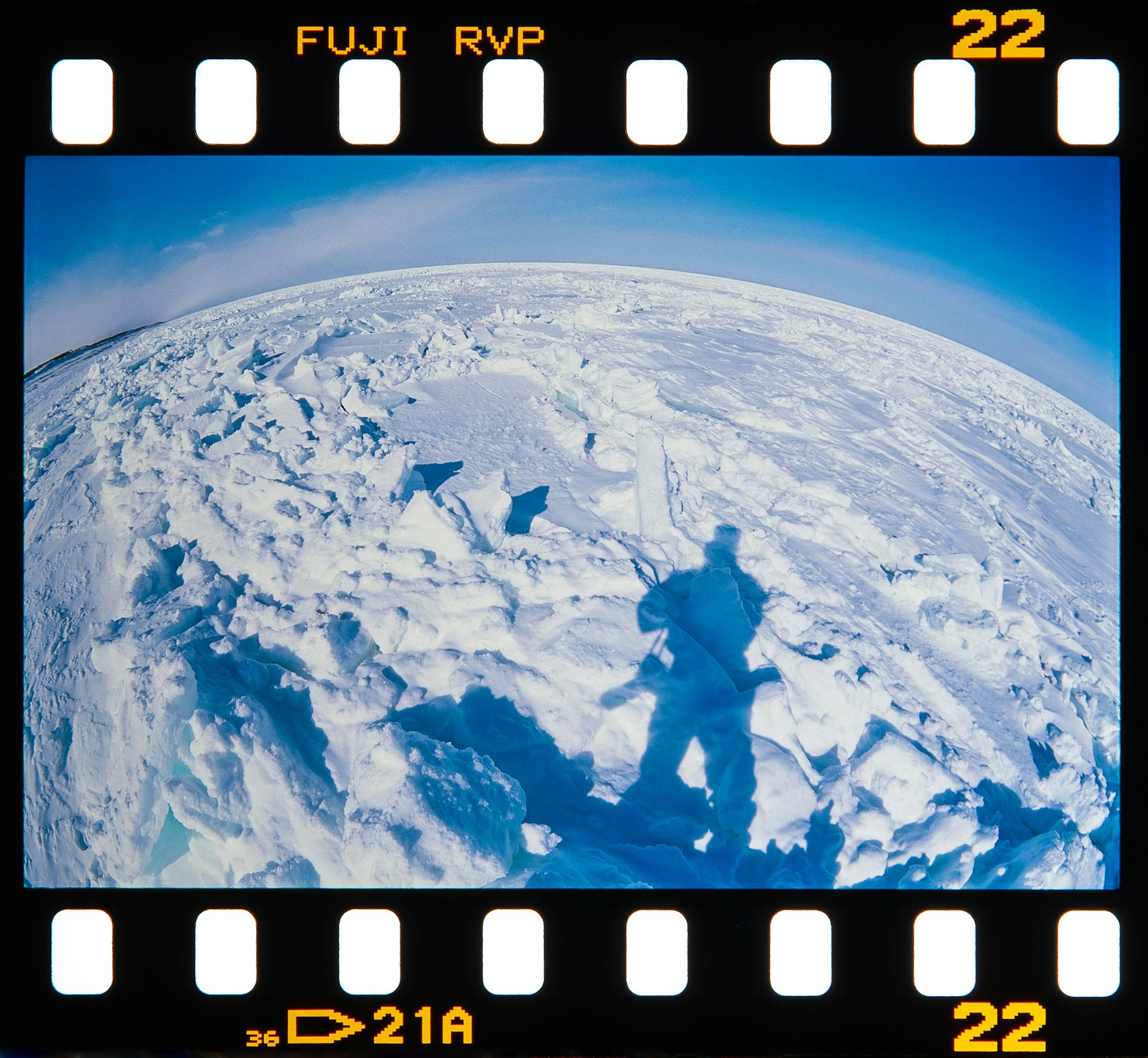 今さら聞けない 劣化しないフィルムの保存方法 | Knowledge #72 | cizucu