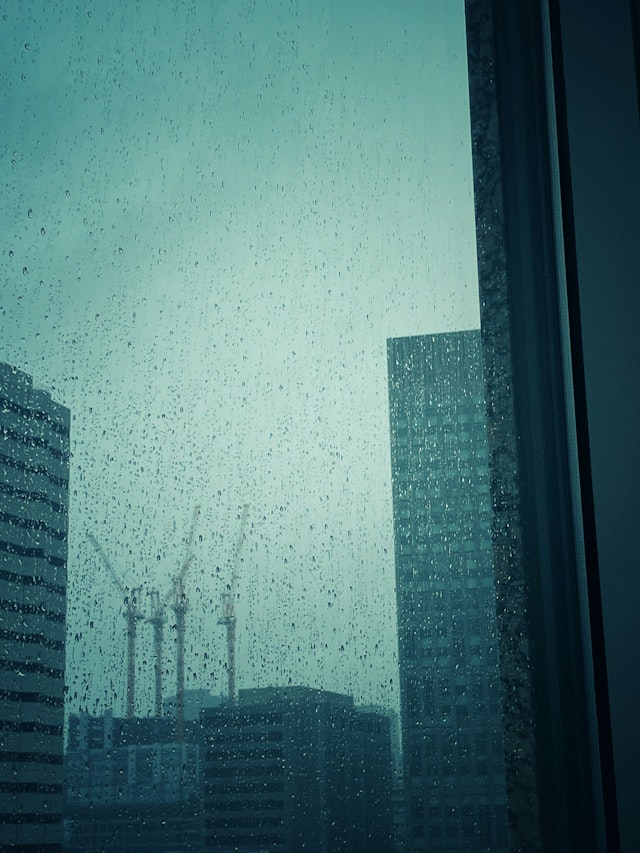 cizucu主宰『June Diary '25』| Challenge #225 | cizucu