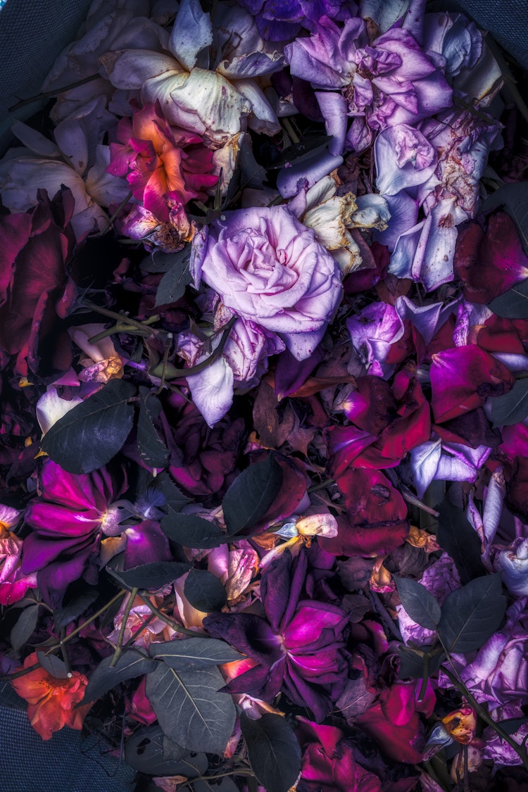 今週の注目作品に『Spotlight』| Knowledge #45 | cizucu