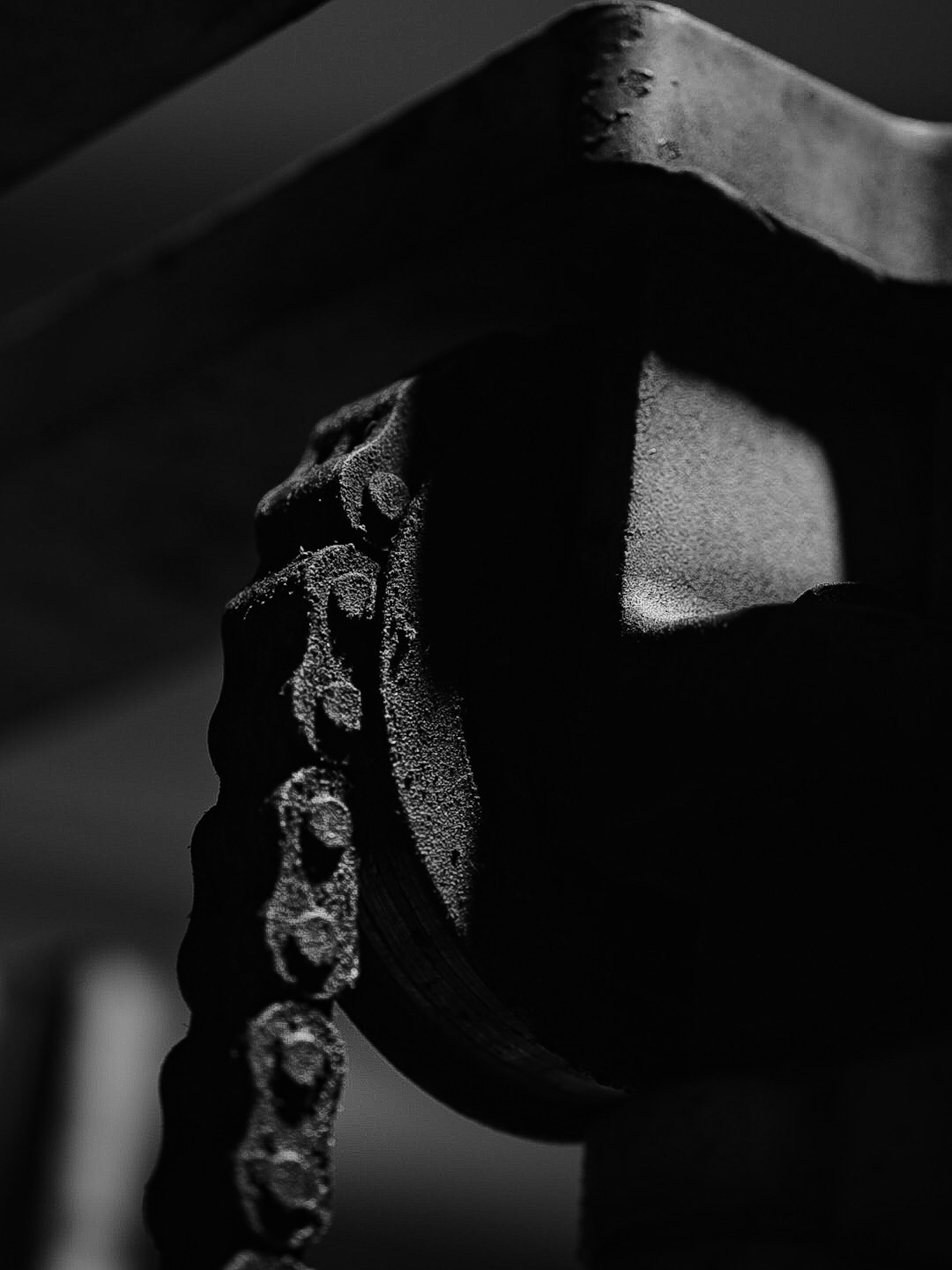 空気感で魅せる テキスチャーを際立たせる撮り方を紹介 | Focus #140 | cizucu