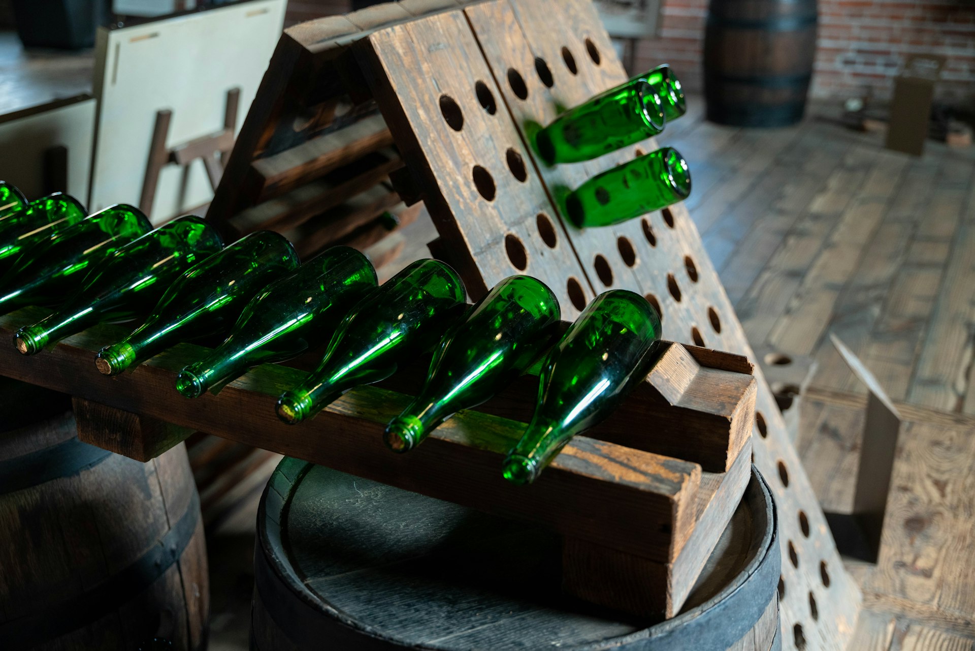 色で感じる自然の癒やし 緑の写真が教えてくれること | Focus #130 | cizucu