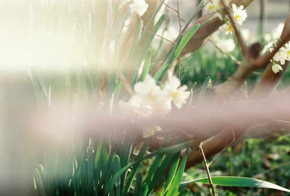 あなたの物語をAIで再発見、Meta AIの「Imagine Me」体験 | Release #414 | cizucu