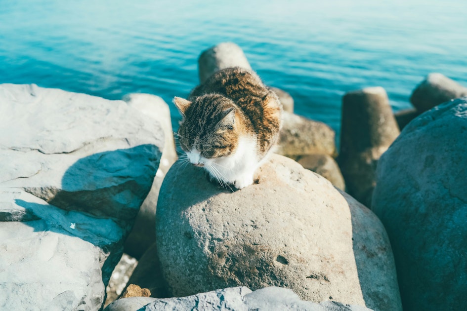 Instaramの新機能「トライアルリール」で広がる可能性 | Release #397 | cizucu