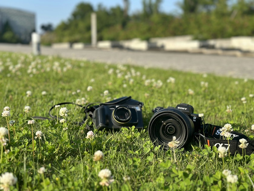 ミラーレスカメラと一眼レフカメラの違いと選び方 | Knowledge #80 | cizucu