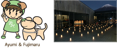 Japan Guide Dog Center "Fuji Harness"5