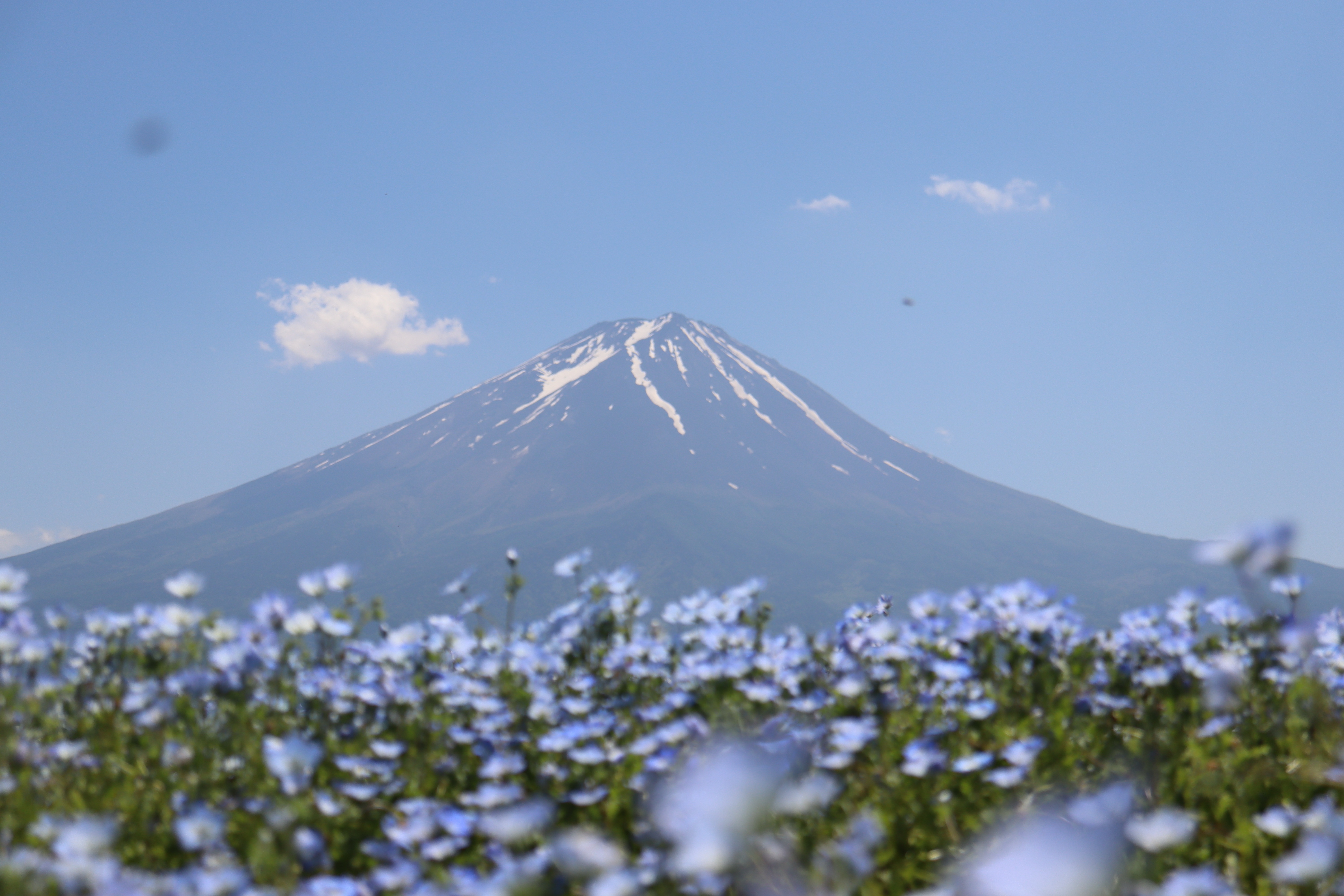 The Mount Fuji Perfect Ride Plan