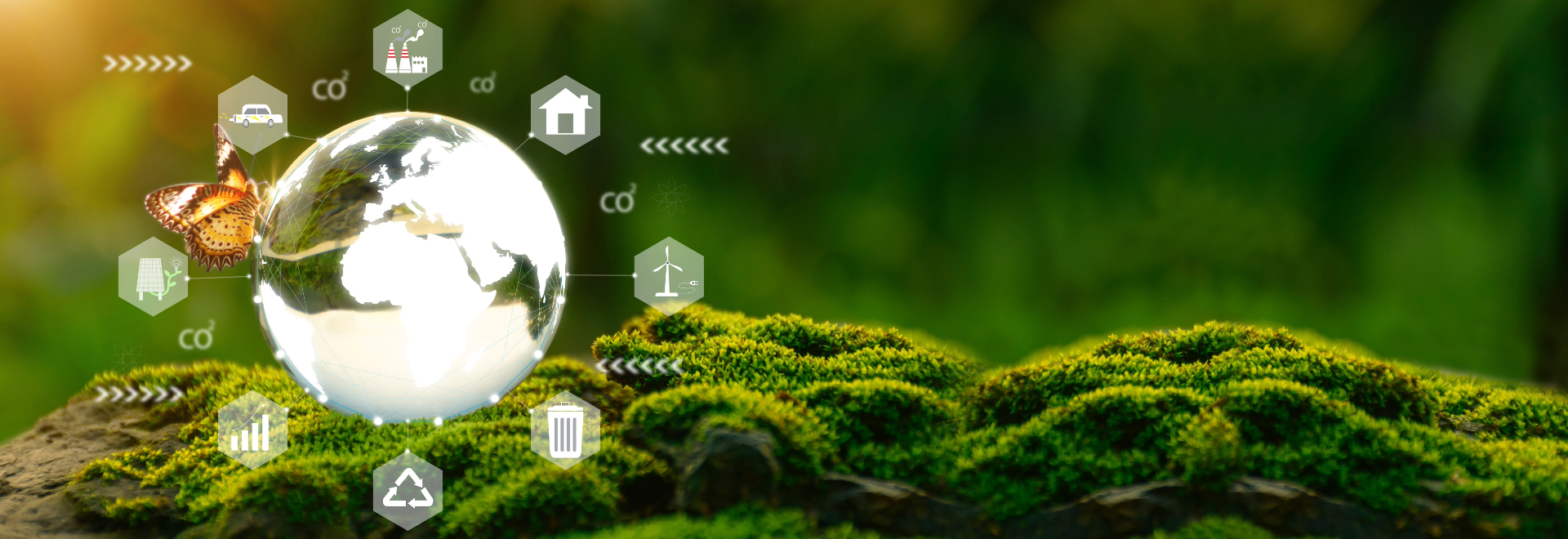 自然資本を取り巻く動向と企業に求められる対応 ～第1回～ | 経営研レポート | NTTデータ経営研究所