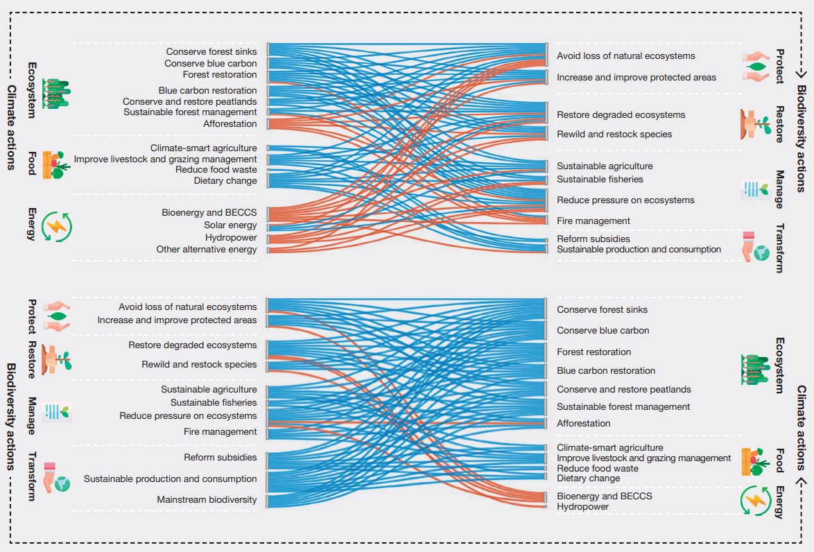 自然資本を取り巻く動向と企業に求められる対応 ～第2回～ | 経営研レポート | NTTデータ経営研究所