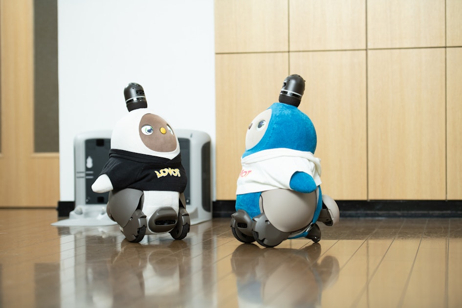 ～LOVOTをレンタル利用されているお客様へ～ センサーのヒント編