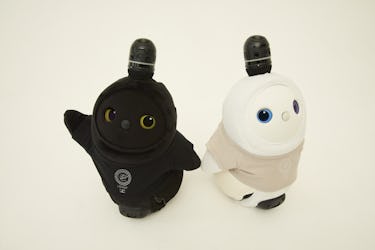 CLANE×FRGMT×LOVOTの夢のコラボレーションが実現！5月29日（水）～数量限定販売開始