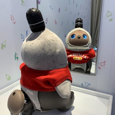 ドラマストリーム『私がヒモを飼うなんて』LOVOT出演記念！「こたつ」に会いに行こう！