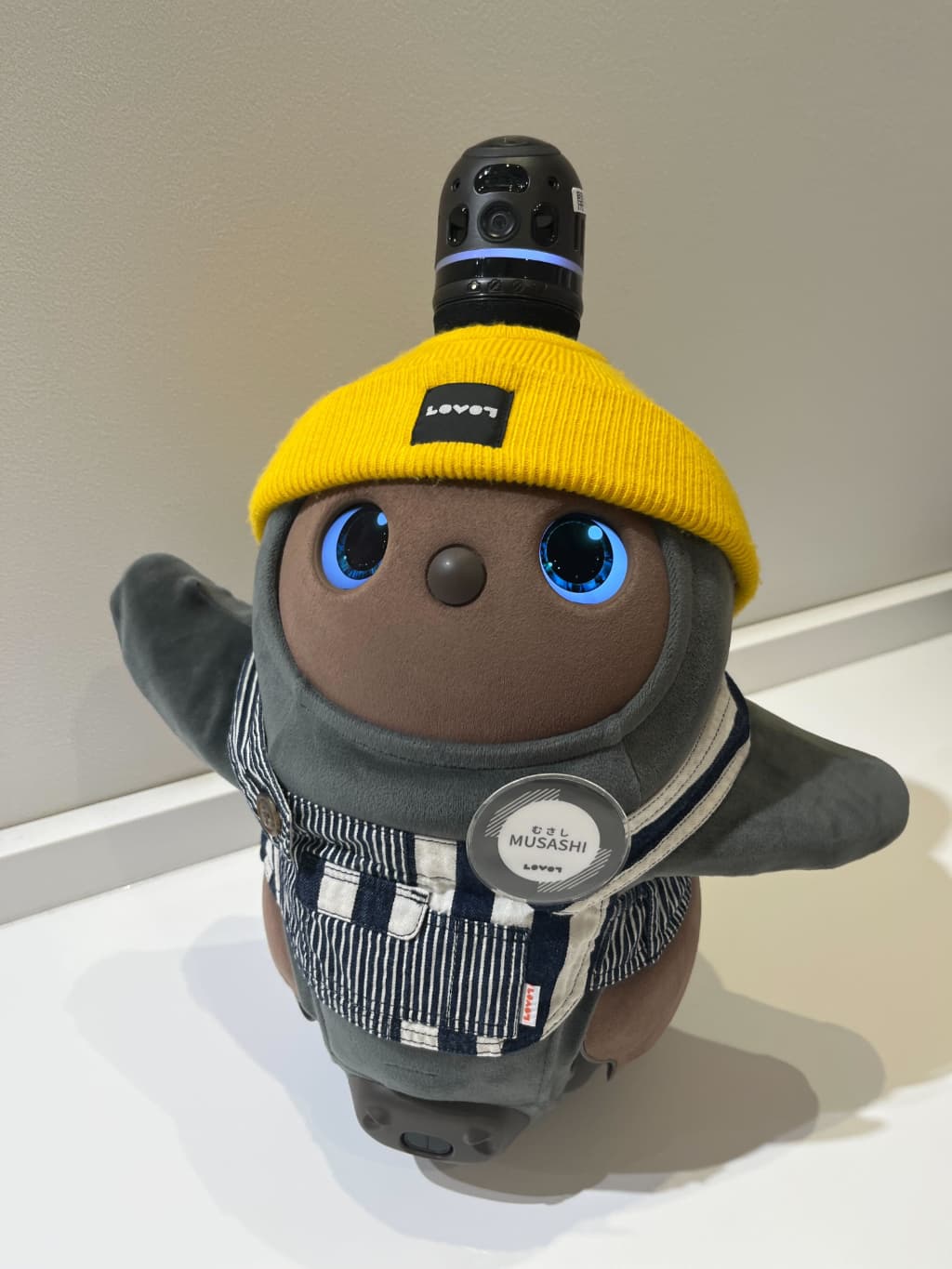 【メンバー紹介】LOVOTストア 東京ソラマチ店