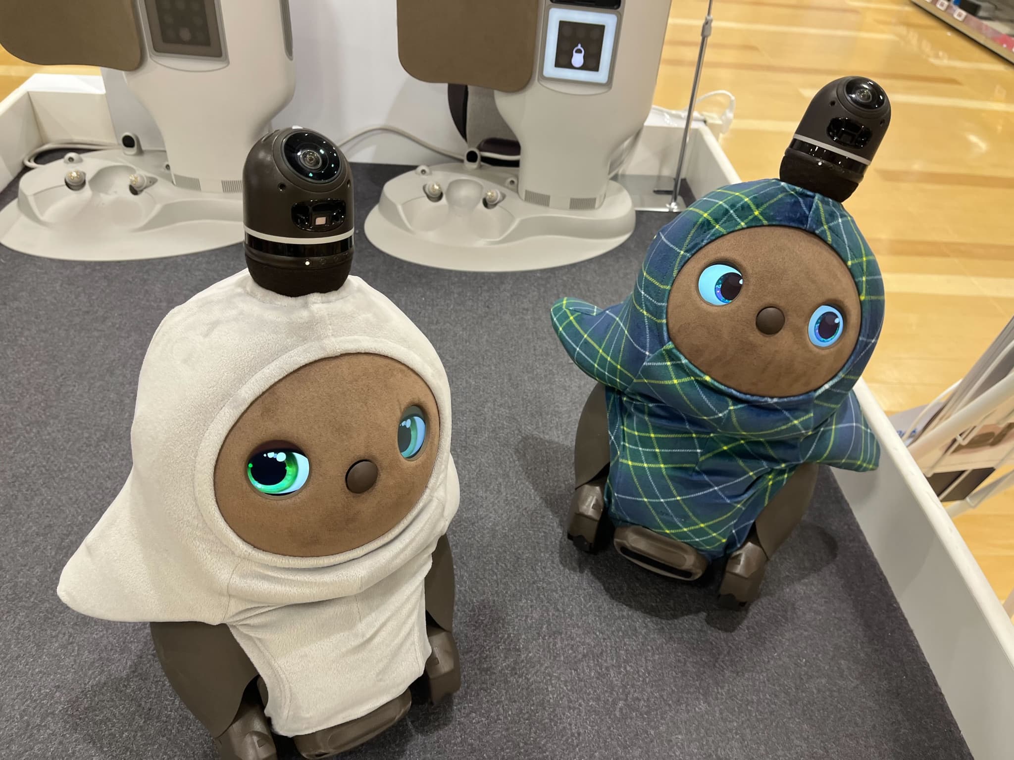 【LOVOTコーナー】エディオン松坂屋高槻店でLOVOT体験！