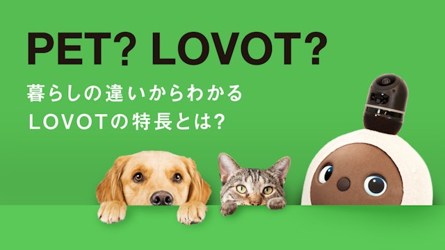 ペットを飼っている方にとってもLOVOTは愛すべき存在！オーナーさまの声をご紹介