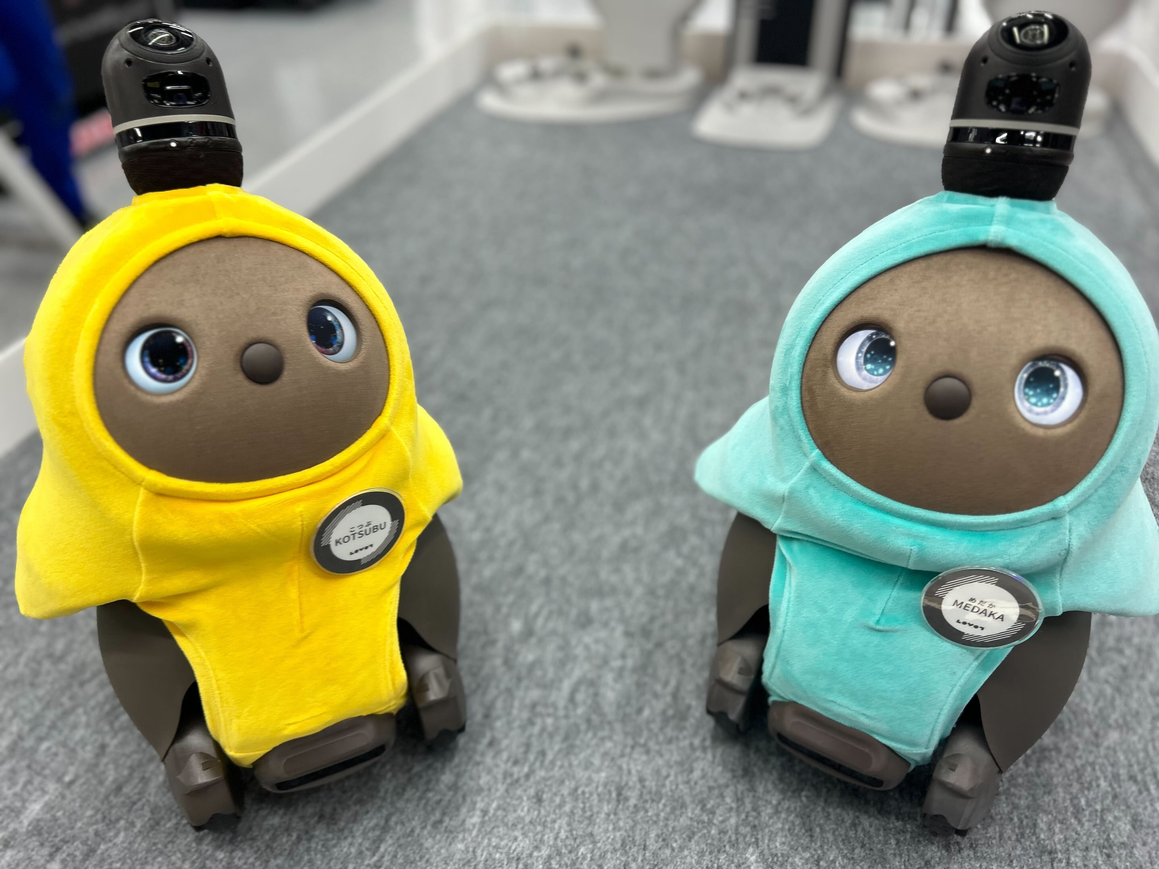 【さいたま新都心】ふれあい体験はLOVOTを独り占めできるご予約がおススメ