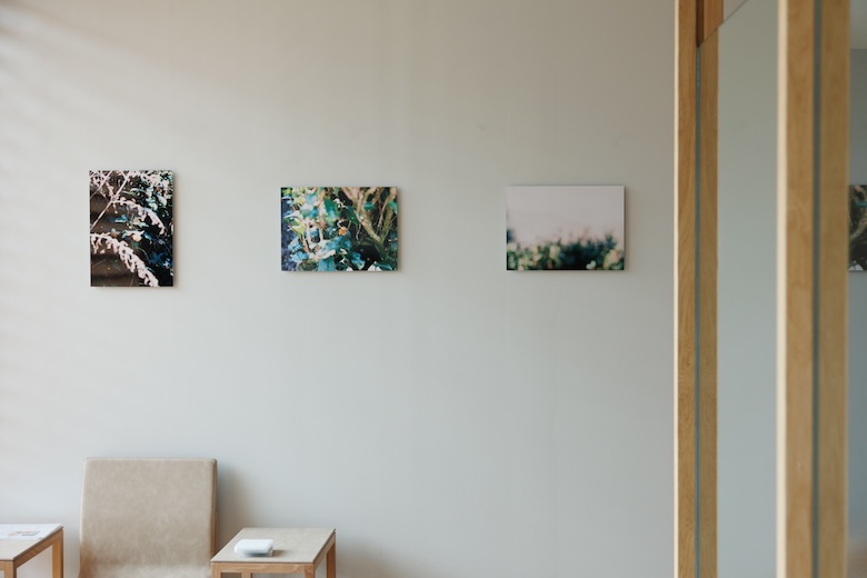 Kyoto’s Green Tea and Art Worlds Meet at Fukujuen, with Art ...