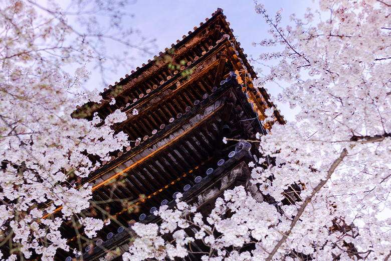 Knowing, the First Step on the Path of Zen – a Temple’s Worth as a ...