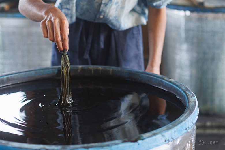 Traditional “Japan Blue” Fermented Indigo Dyeing Experience in a Lush ...