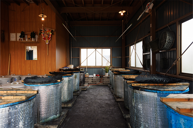 Traditional “Japan Blue” Fermented Indigo Dyeing Experience in a Lush ...