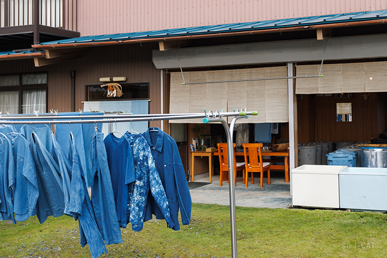 Traditional “Japan Blue” Fermented Indigo Dyeing Experience in a Lush ...