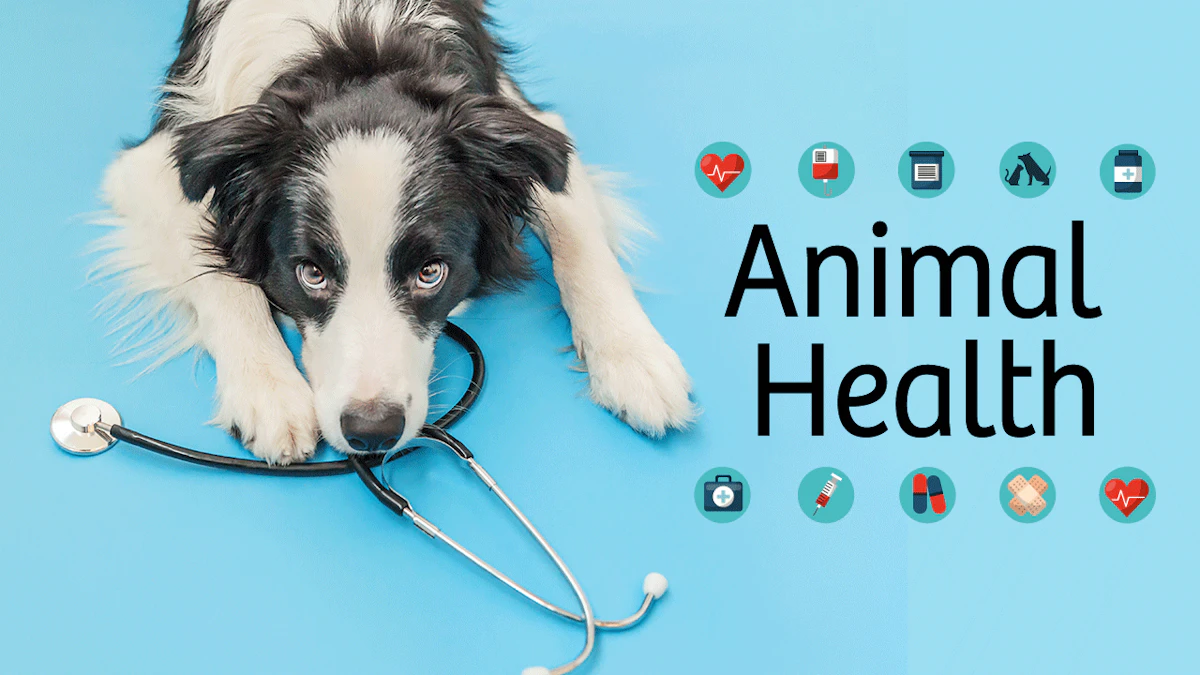 成長見込む世界のペット市場、「ペットの家族化」がカギに - KEPPLE REPORT | KEPPLE（ケップル）