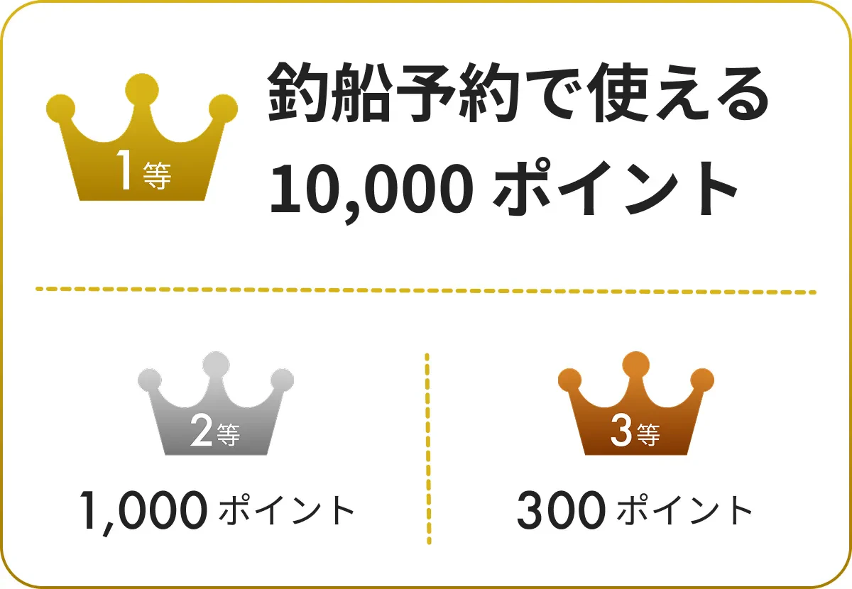 今週はなんとハズレなし！ANGLERSポイントが絶対当たる！【11/3〜11/9のナブラくじ】 つりマガジン - アングラーズ釣船予約