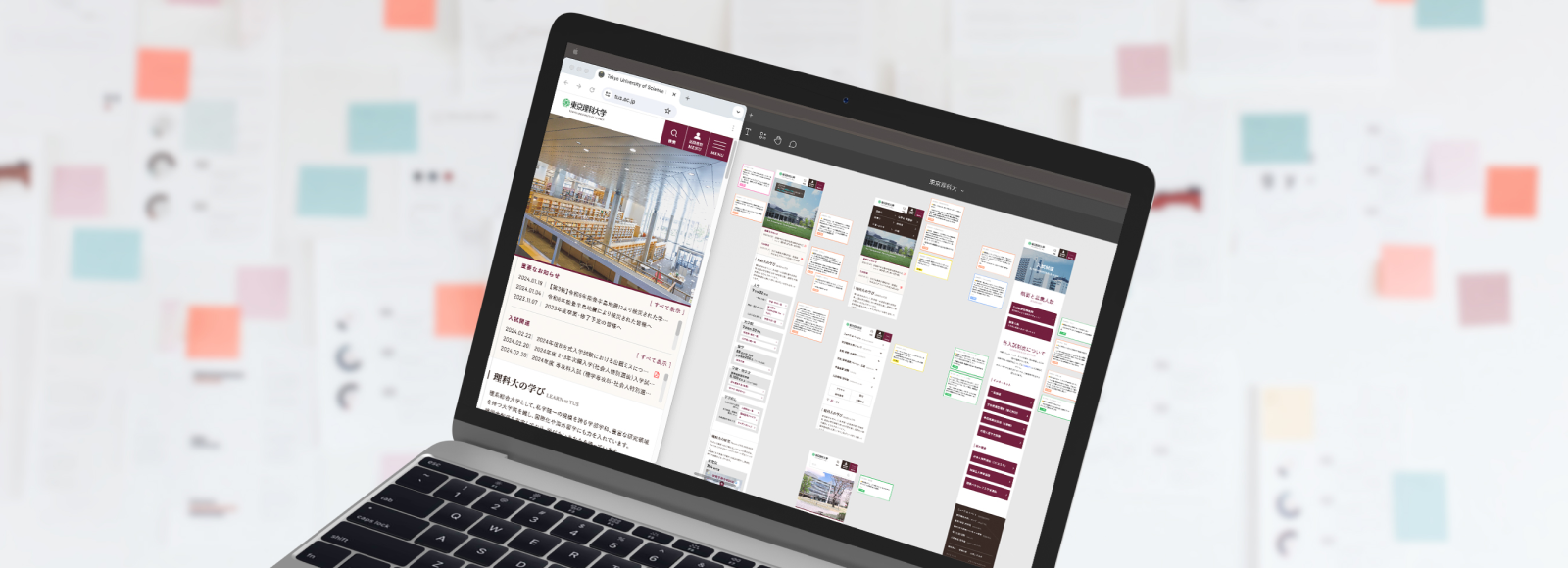 SINAP | Web戦略とコンテンツ制作支援に関する取り組み：学校法人