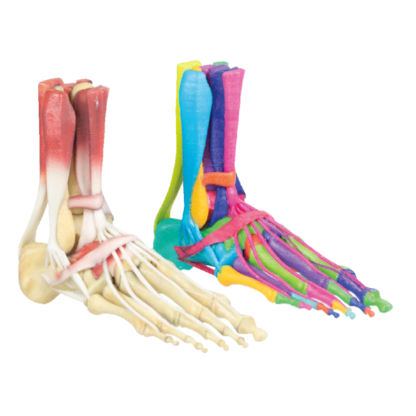 フルカラーアクリル｜MJT｜3DUJ-553 - DMM.make 3Dプリンターの材料・素材