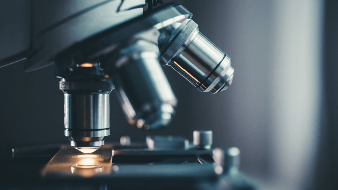 マイクロスコープとは｜顕微鏡の違いや種類・用途例を解説 | オンライン展示会プラットフォームevort（エボルト）