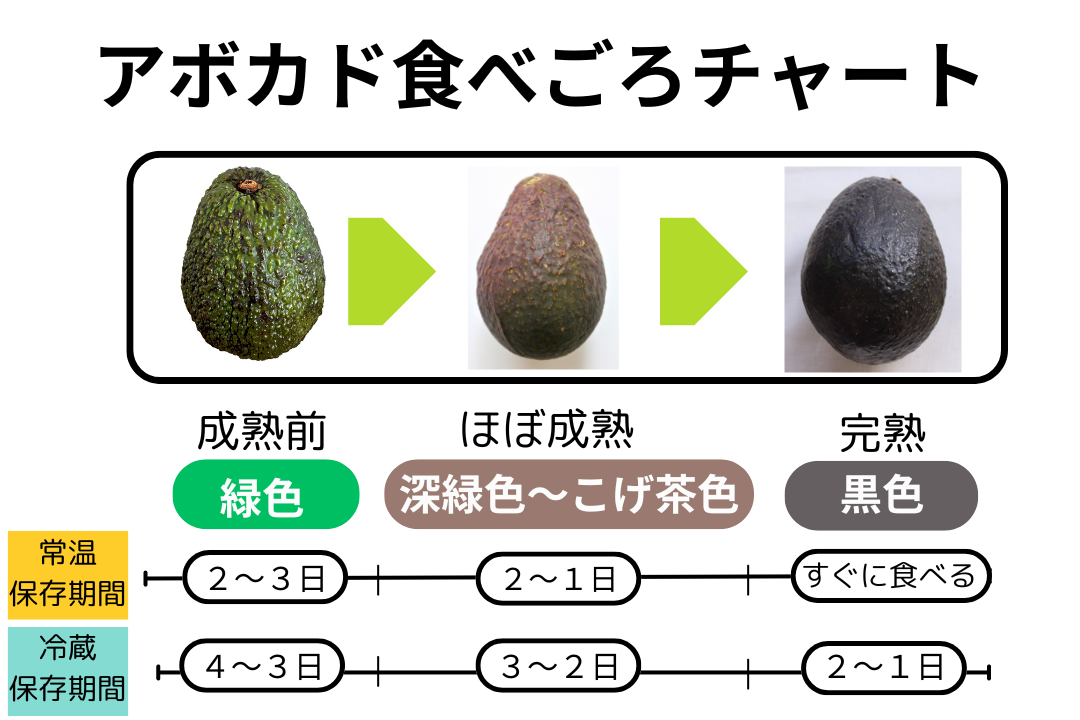 アボカドは熟度に応じて保存方法を変えるのが正解！常温・冷蔵・冷凍保存するときのポイントもご紹介 | ONIGO通信 | スーパー価格で、すぐ届く。ONIGO