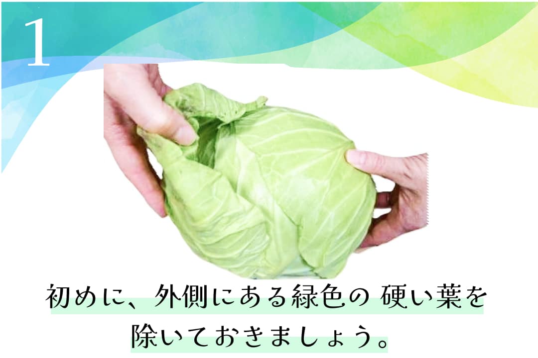 【完全保存版】キャベツの切り方を写真付きで徹底解説！部位ごとのおすすめ調理法もご紹介 | OniGO通信 | 鬼速ネットスーパー OniGO オニゴー