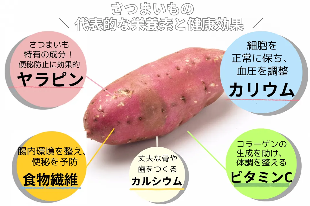 さつまいもを食べると何がスゴイ？豊富な栄養と嬉しいメリットを徹底解説！ | ONIGO通信 | スーパー価格で、すぐ届く。ONIGO