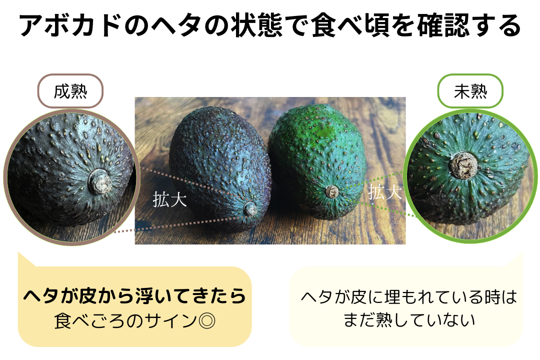 簡単！アボカドの食べ頃を見分けるには？｜初心者でも食べ頃を見分けられる3つの方法 | OniGO通信 | 鬼速ネットスーパー OniGO オニゴー