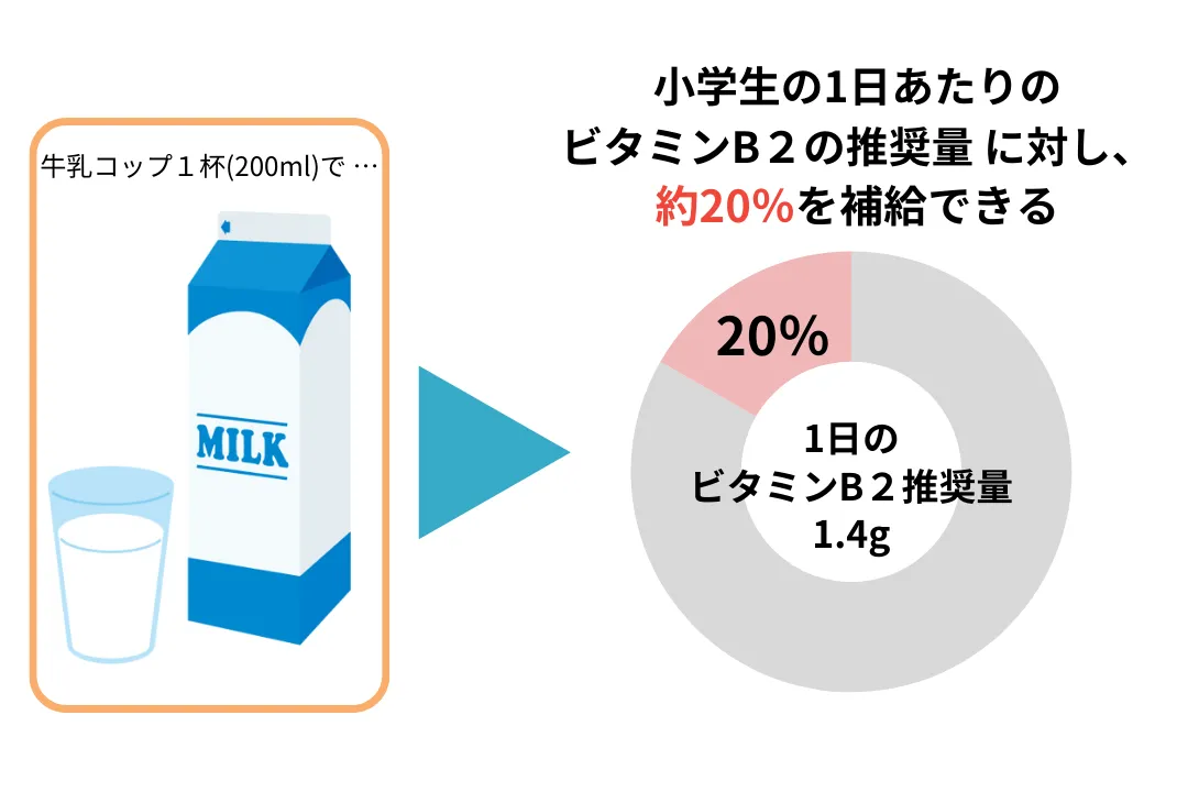 牛乳の糖質とカロリーを徹底解説！体重増加を防ぐ適量や豆乳・アーモンドミルクとの比較も | ONIGO通信 | スーパー価格で、すぐ届く。ONIGO