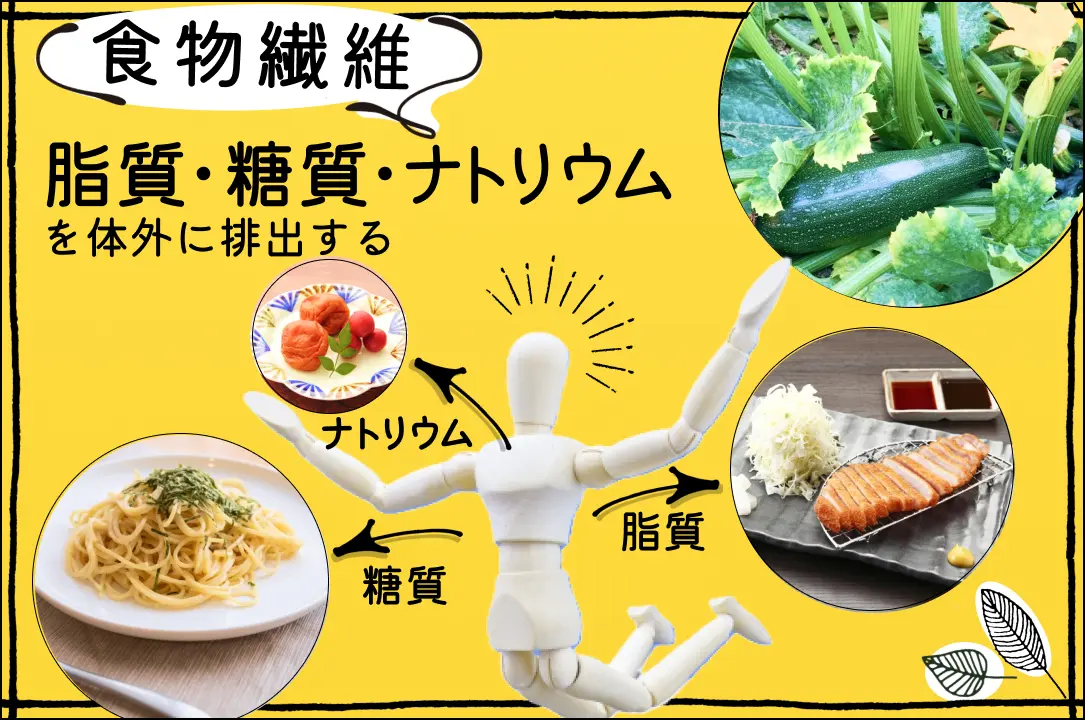 ズッキーニの栄養を徹底解説！健康効果やおすすめレシピもご紹介 | ONIGO通信 | スーパー価格で、すぐ届く。ONIGO