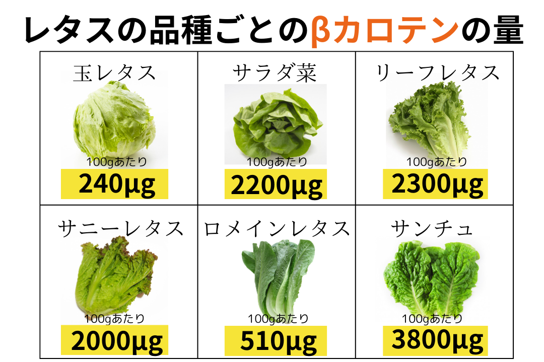レタスの食物繊維は多い？少ない？その他の栄養素や摂取目安量についても解説！ | ONIGO通信 | スーパー価格で、すぐ届く。ONIGO