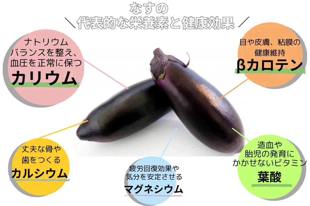 なすは栄養がないって本当？2つのポリフェノール「ナスニン」、「クロロゲン酸」の効能効果がすごい！ | ONIGO通信 | スーパー価格で、すぐ届く。ONIGO
