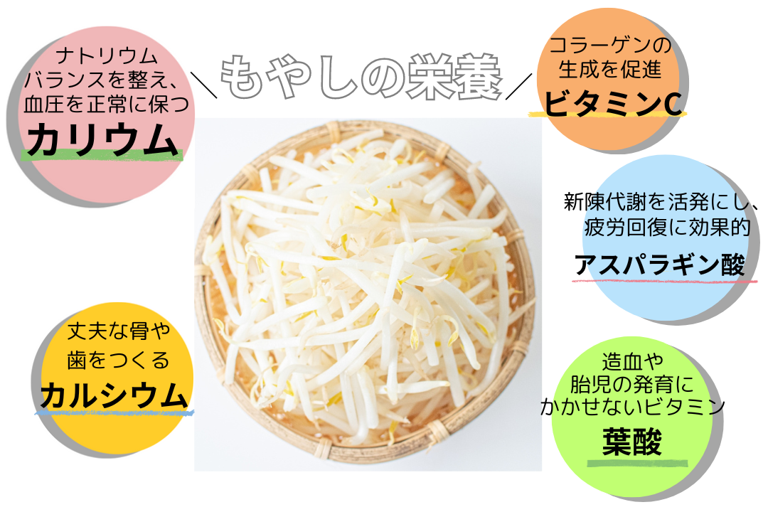 もやしは栄養がないは誤解／ 実はすごい！もやしの驚くべき栄養価・健康効果をご紹介 | OniGO通信 | 鬼速ネットスーパー OniGO オニゴー