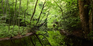 JVCKENWOOD Design Corporation