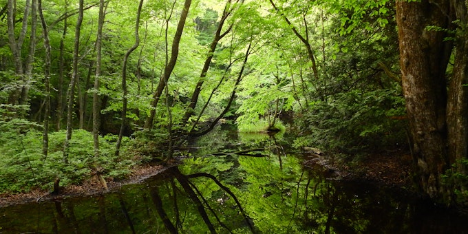 JVCKENWOOD Design Corporation