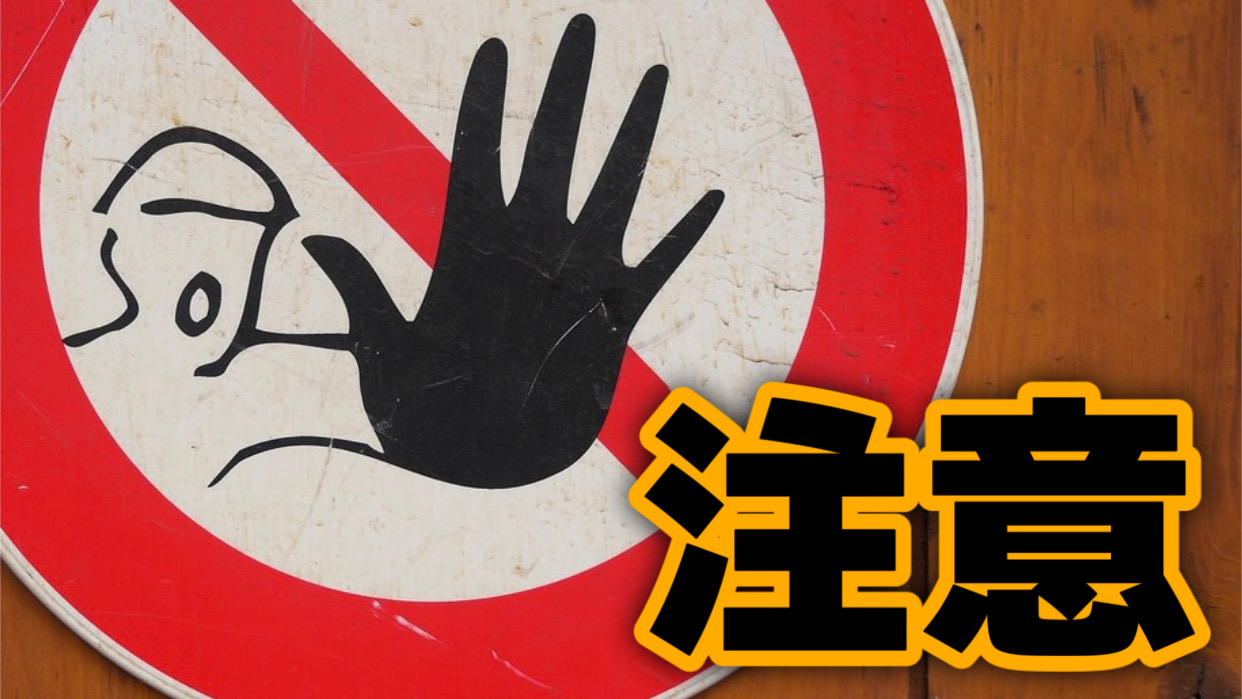 【受験生】過去問演習のやりすぎはNG - okke