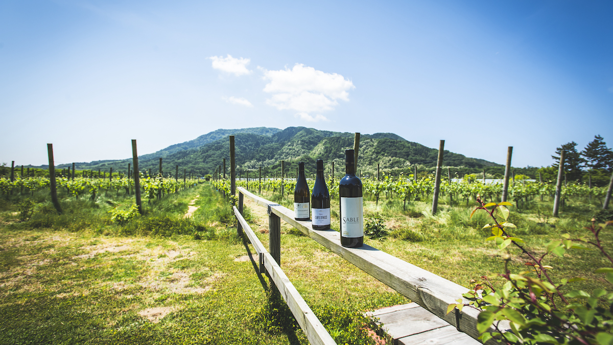 LEXUS - 記事 | LEXUS NEWS