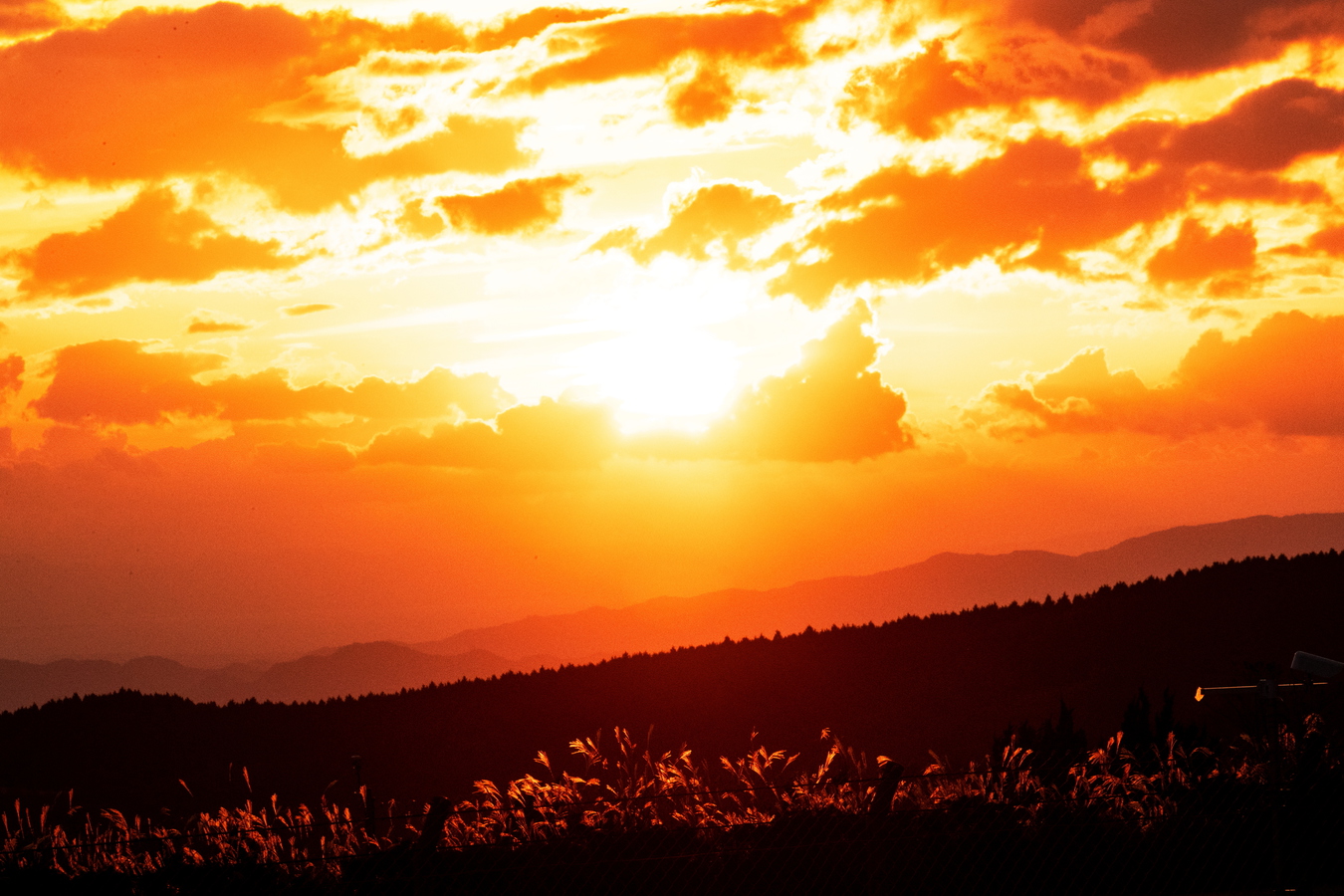 LEXUS - 記事 | LEXUS NEWS