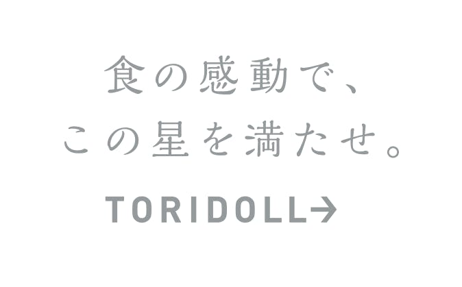 TORIDOLL Holdings Corporation