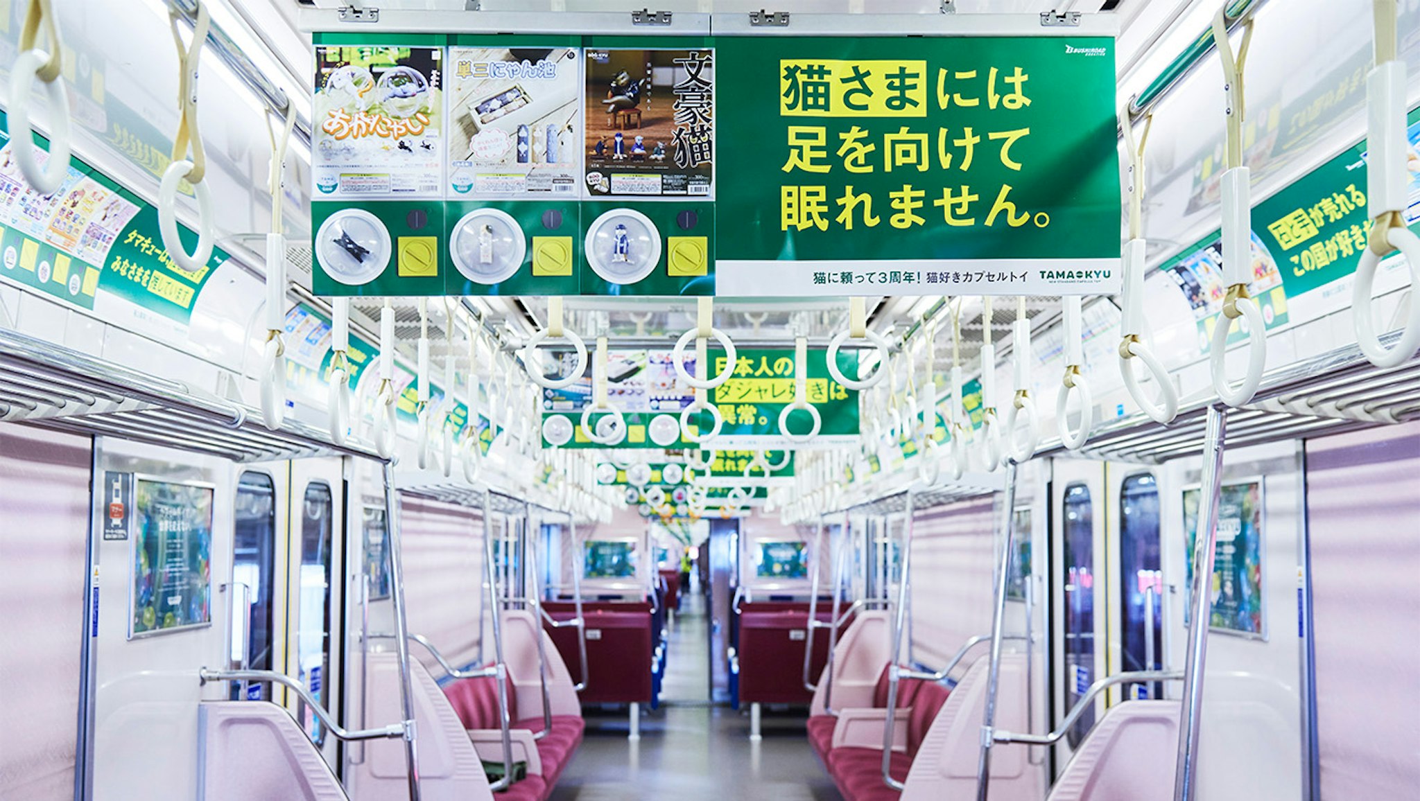 松下 加奈 | CHOCOLATE Inc.